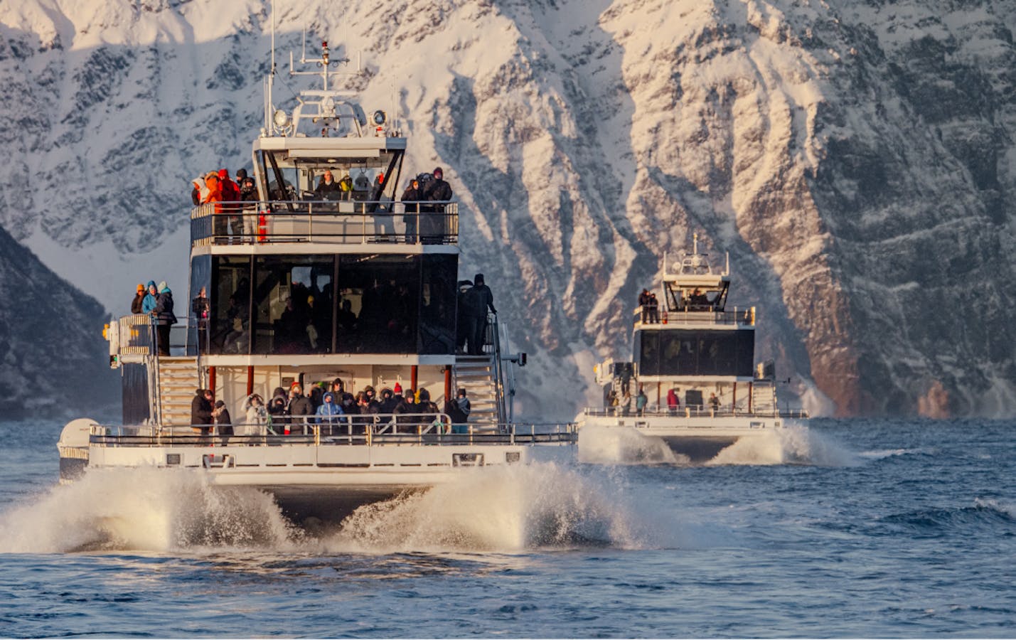 Brim Explorer Ships - Brim Explorer