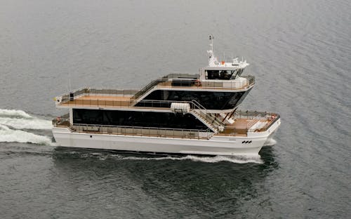 MS Bard - Brim Explorer