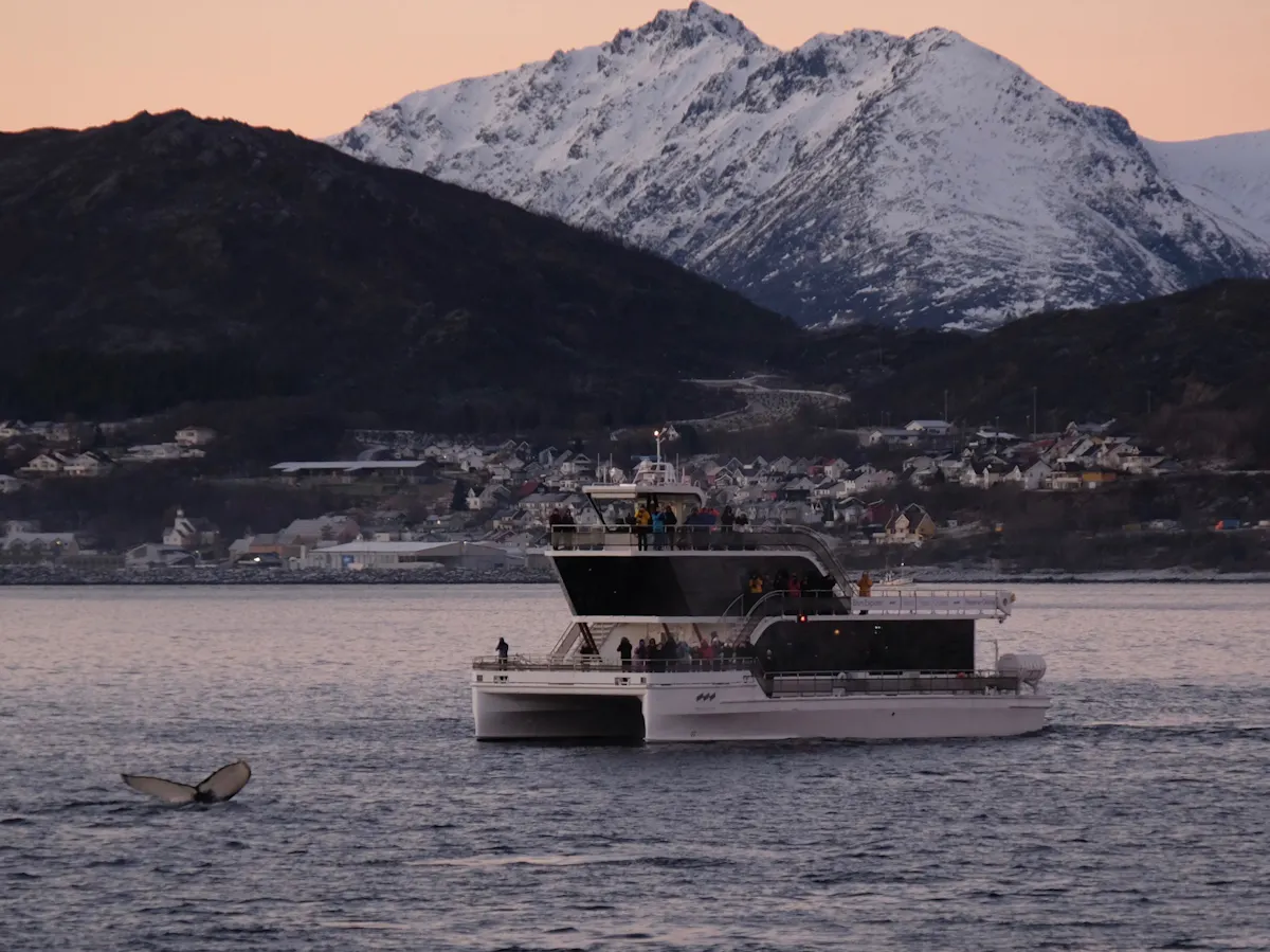 Travel Journal & Inspiration - Brim Explorer